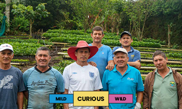 Costa Rica | Finca Licho | San Roque | Honey – Proud Mary Coffee Melbourne