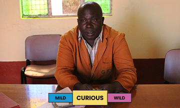 Kenya | Gathaithi | SL-28 & SL-34 | Washed – Proud Mary Coffee Melbourne