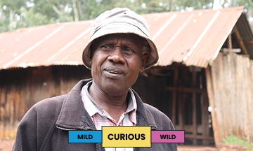 Kenya | Makena Estate | SL-28 & SL-34 | Washed – Proud Mary Coffee ...