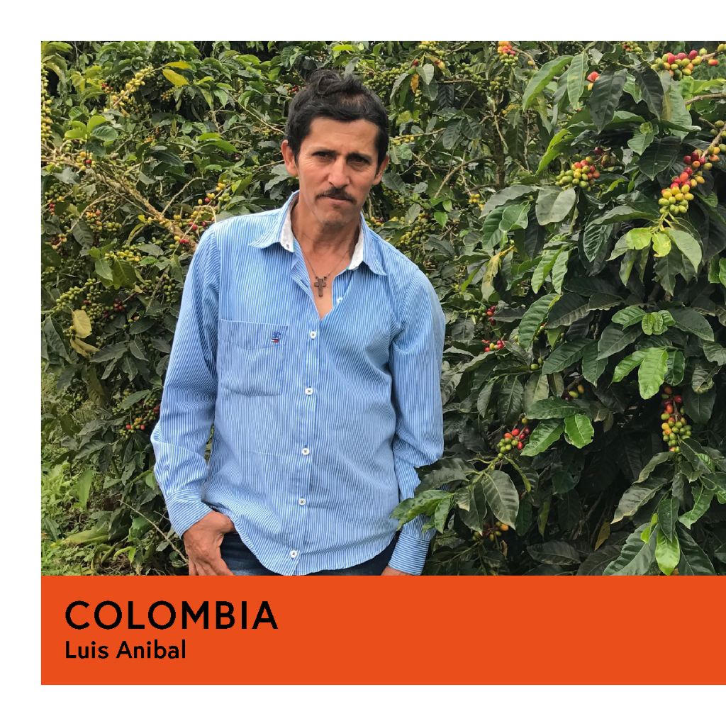 Colombia | Luis Anibal | Caturron | Anaerobic Washed 25hr | Filter | 2 ...