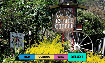 Panama | Elida Estate | Geisha | ASD Natural | Filter | 100g – Proud ...